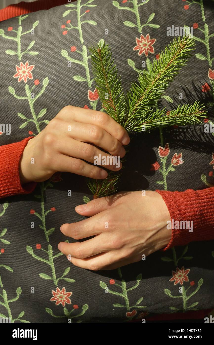 Hand and branch hi-res stock photography and images - Alamy