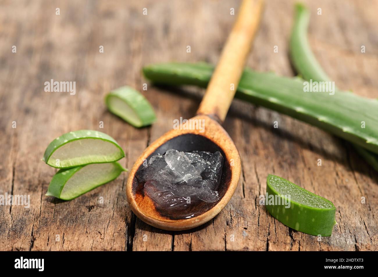 aloe vera, aloe veras Stock Photo - Alamy