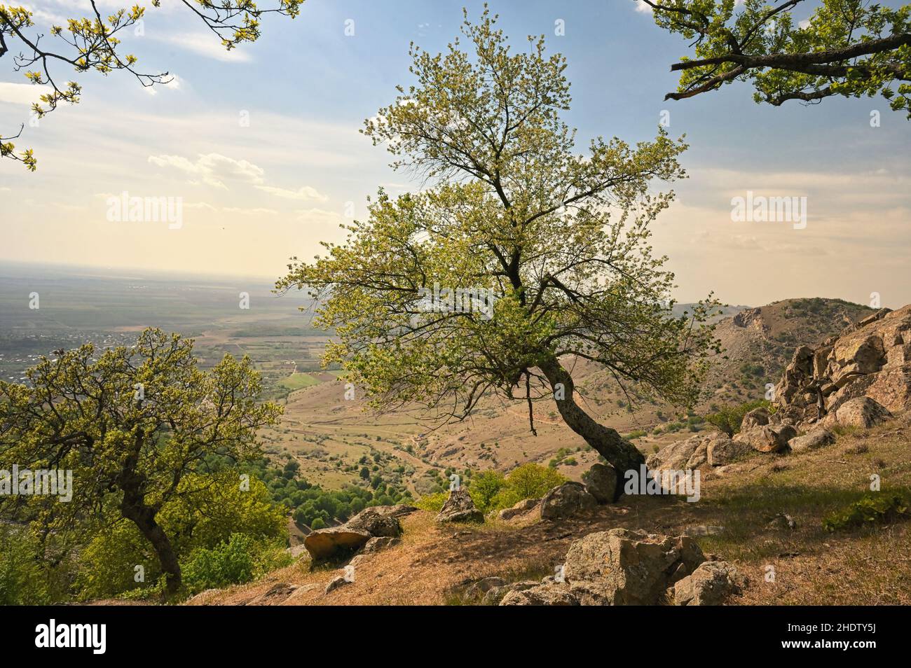 romania, dobruja, romanias, dobrujas Stock Photo - Alamy