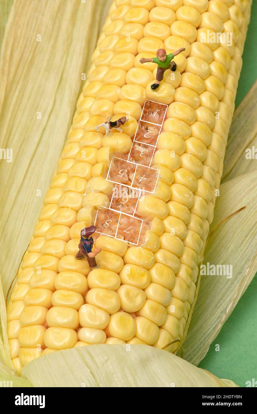 playing, maize field, children, hopscotch, play, cornfields, childs ...