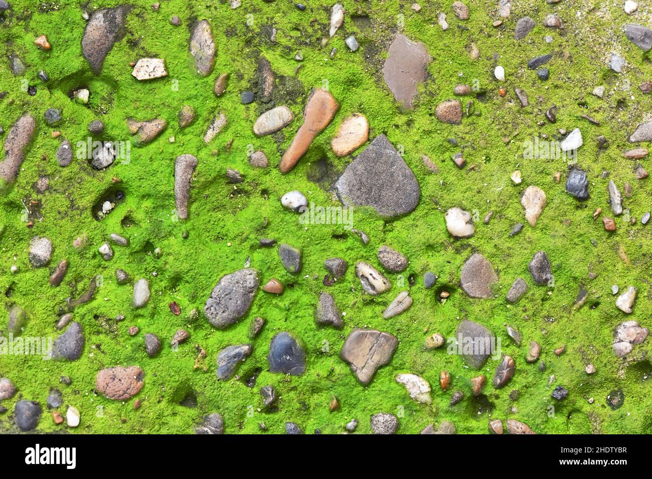 stone ground, pebble, flooring, stone grounds, pebbles Stock Photo - Alamy