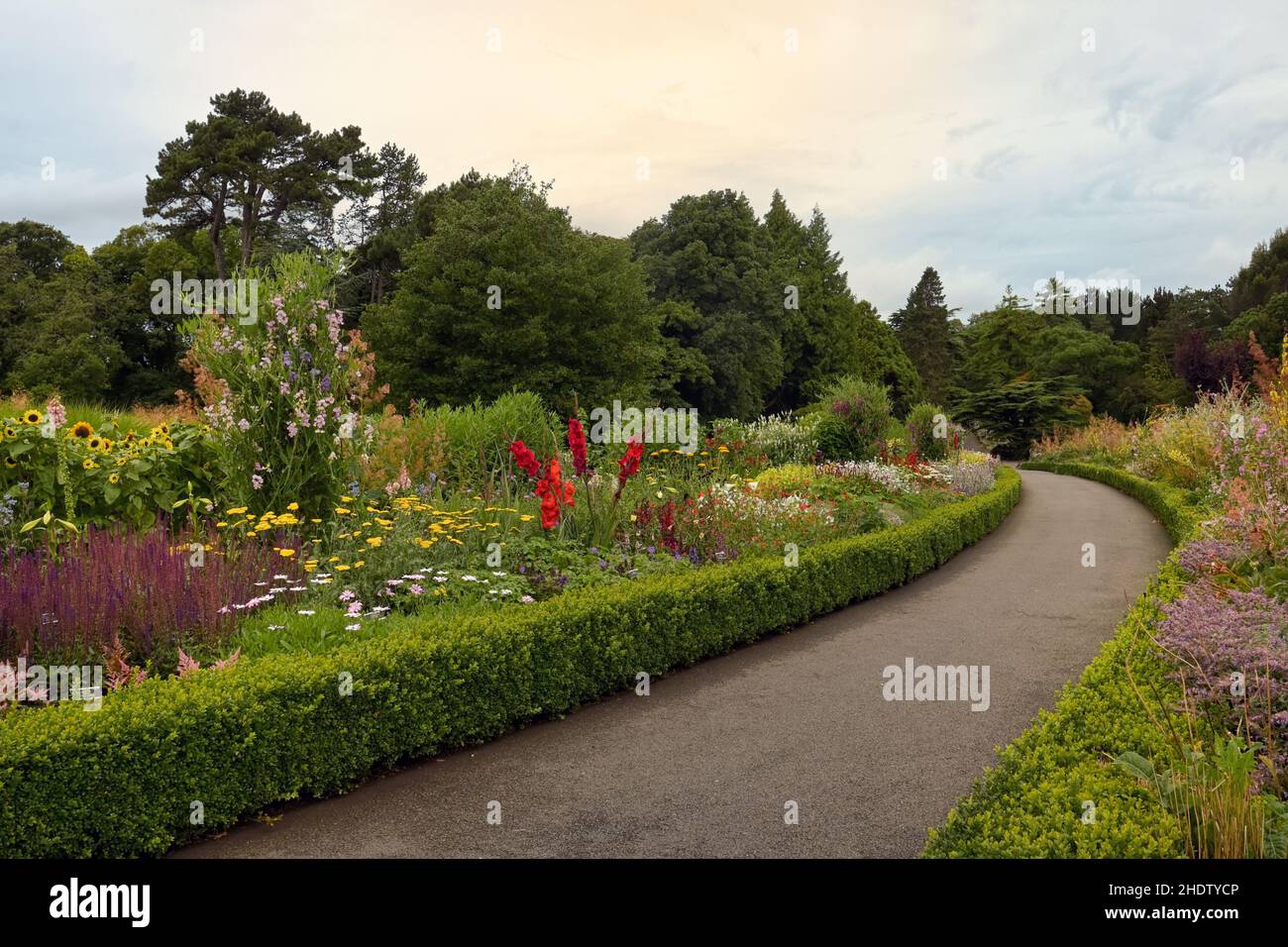 footpath, park, hedge, footpaths, parks, hedges Stock Photo - Alamy