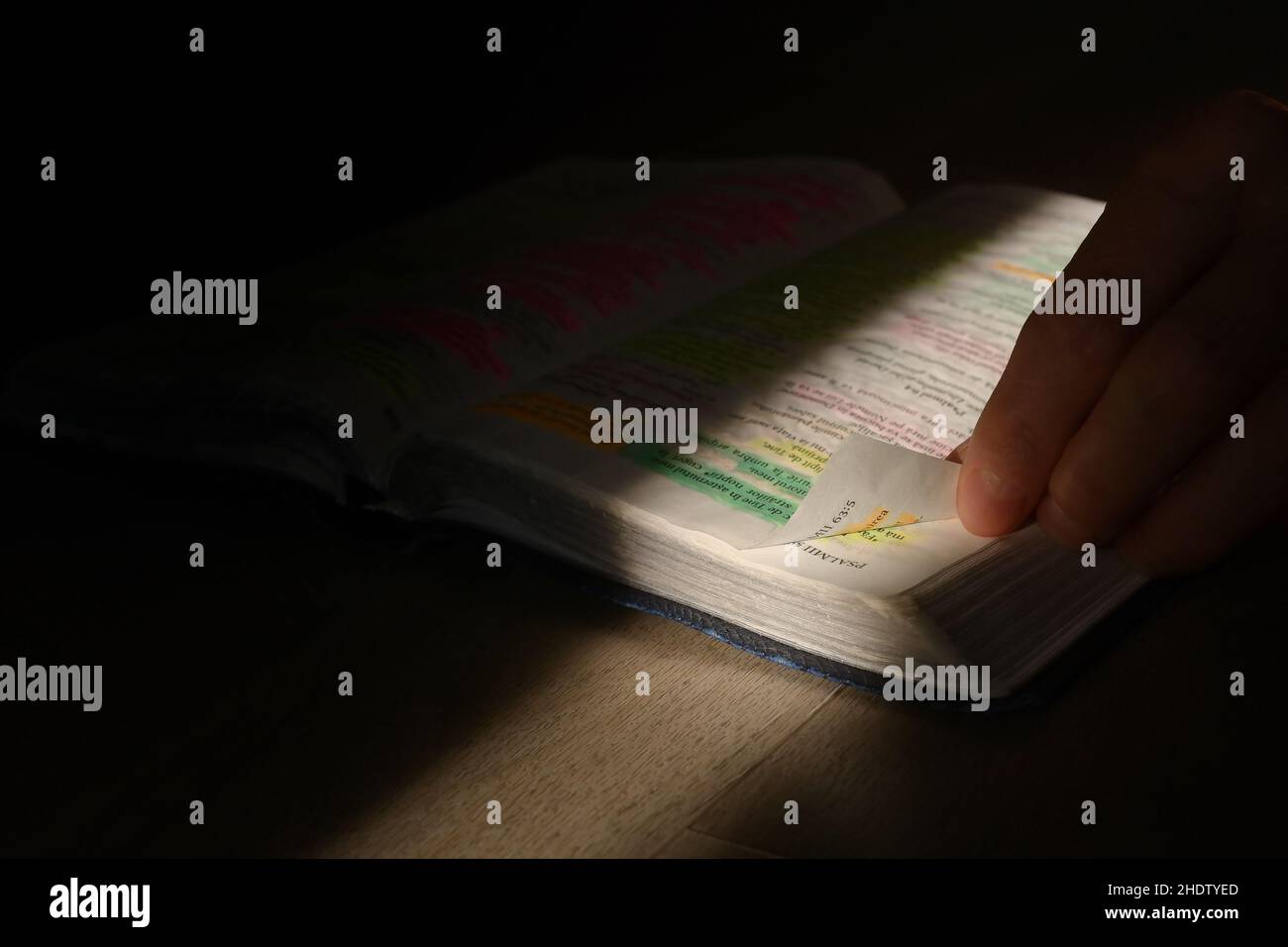 reading, light & shadow, bible, read, reading a book, reading something ...