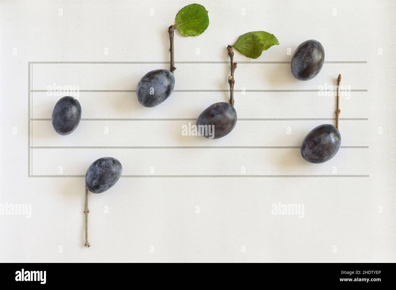 plum, melody, notation, plums, melodies, notations Stock Photo - Alamy