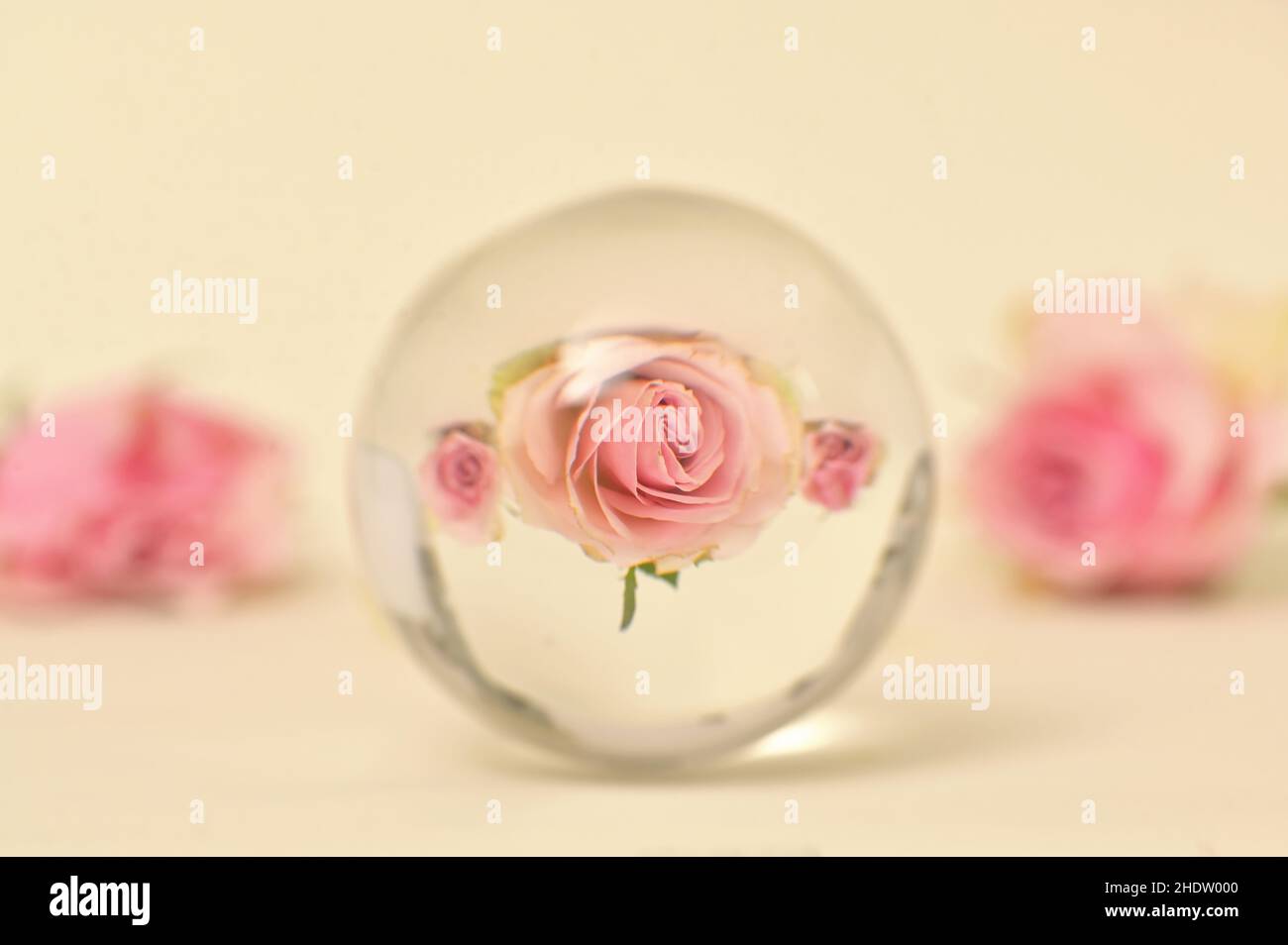 Rose sphere crystal hi-res stock photography and images - Alamy