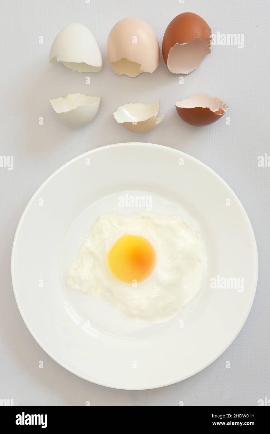 egg shell, equality, skin color, racism, egg shells, equalities, skin ...