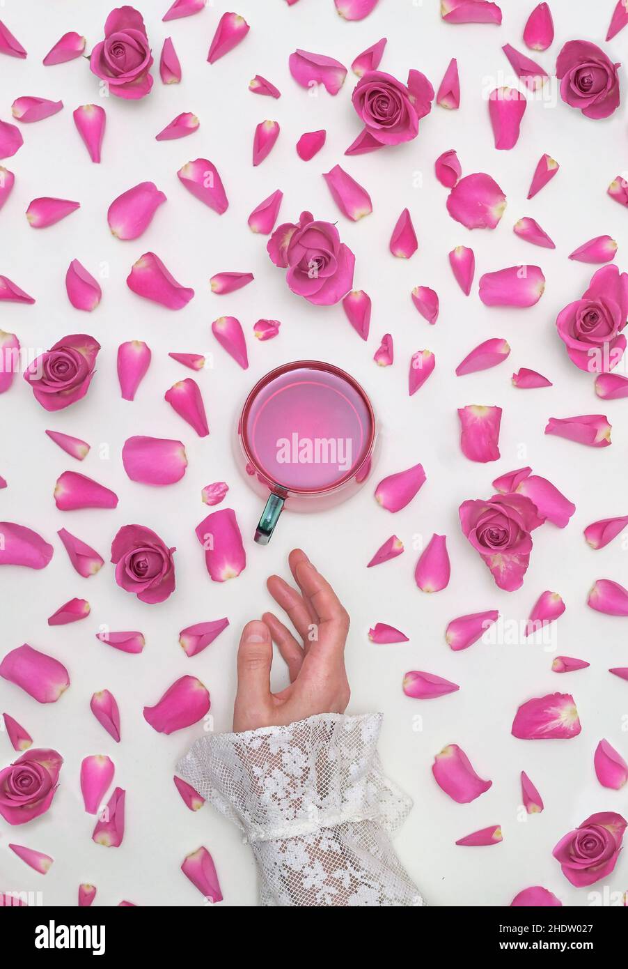 Red rose 1 hi-res stock photography and images - Alamy