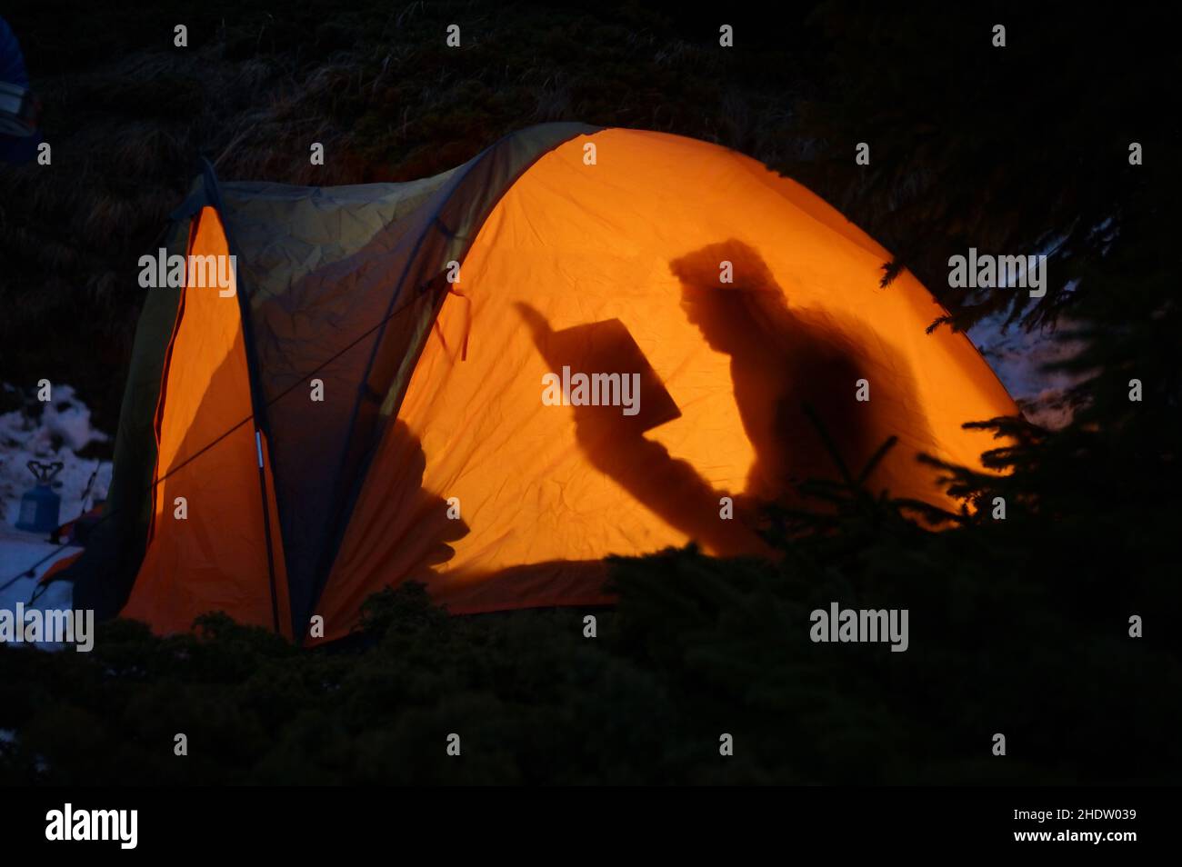 shadow, reading, tent, camping, shadows, read, reading a book, reading ...