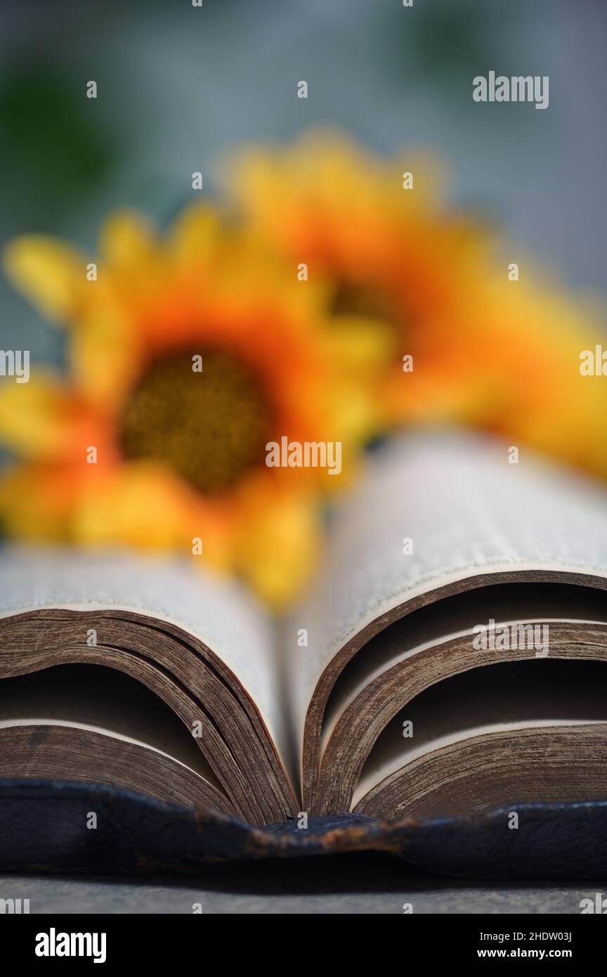 book, reading, old book, books, read, reading a book, reading something ...