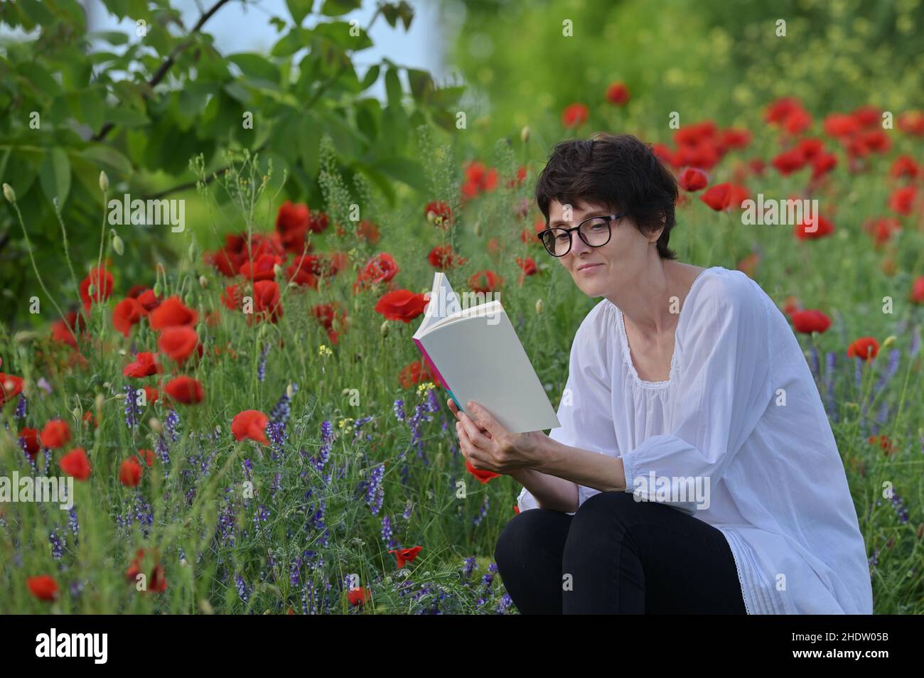 nature, book, reading, natur, natures, books, read, reading a book ...