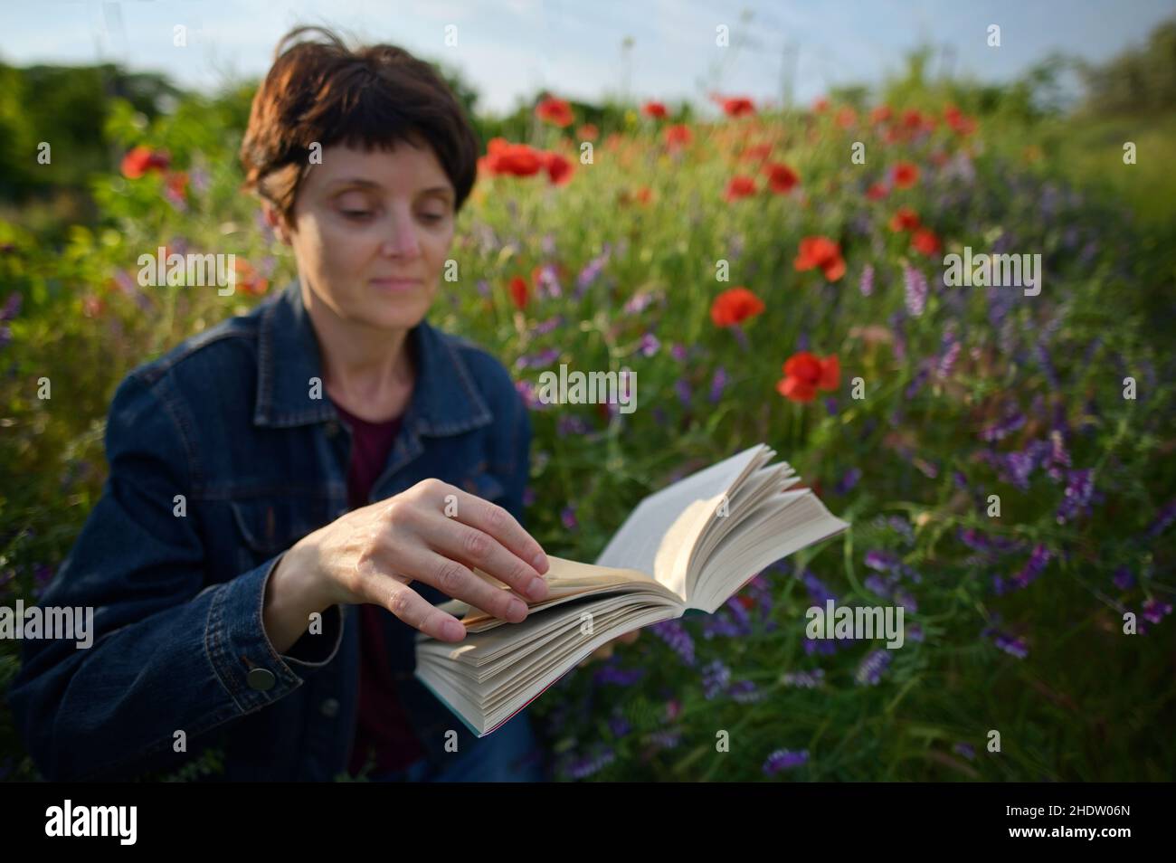 nature, book, reading, natur, natures, books, read, reading a book ...