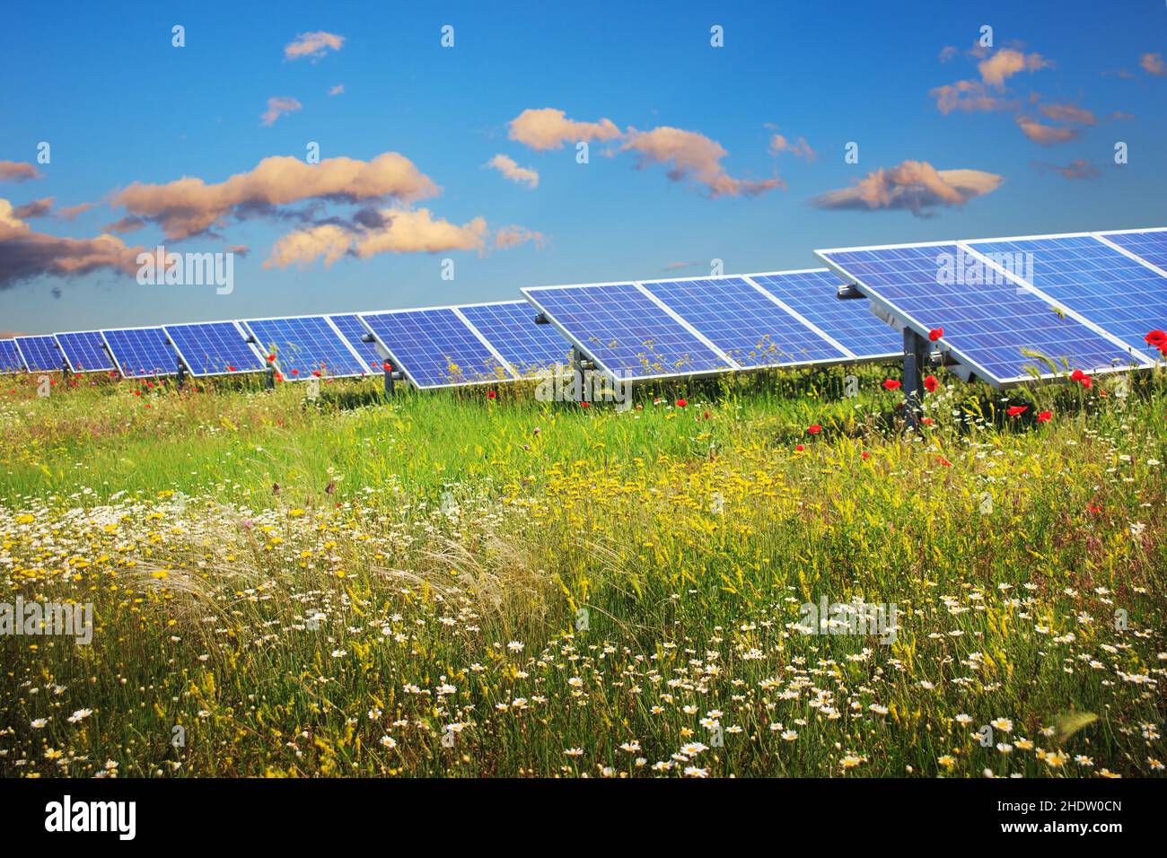 solar, solar plant, solars, solar energy, solar plants, solar ...