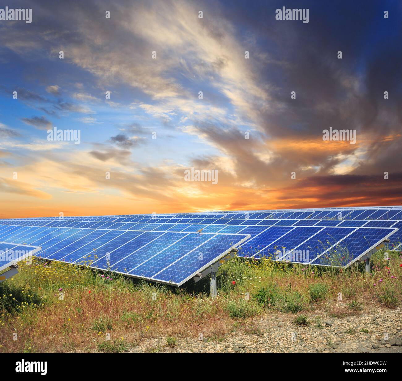 solar, solar plant, solars, solar energy, solar plants, solar ...