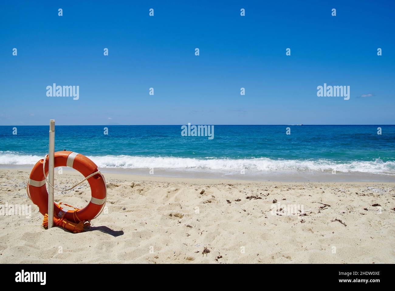 Sea life belts hi-res stock photography and images - Alamy
