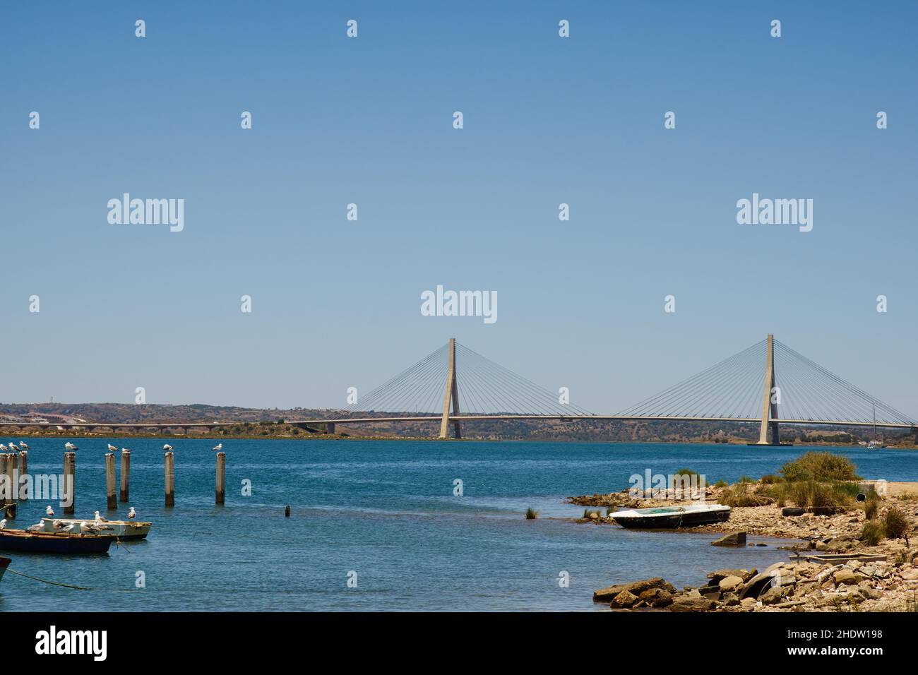 cable-stayed bridge, border area, cable-stayed bridges Stock Photo - Alamy