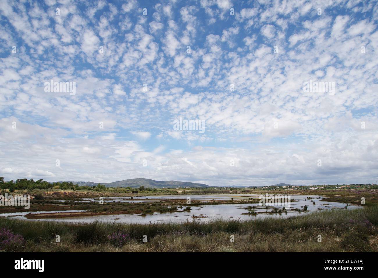 morass, marshland, marshlands Stock Photo - Alamy