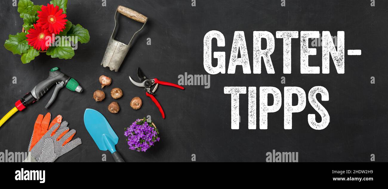 Gardening Gardening Tips Plant Care Tending Of Plants Stock Photo