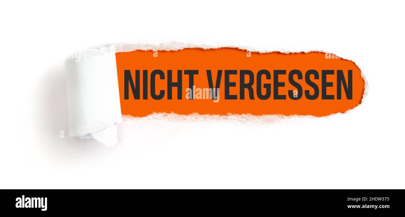 Forget me notes Cut Out Stock Images & Pictures - Alamy