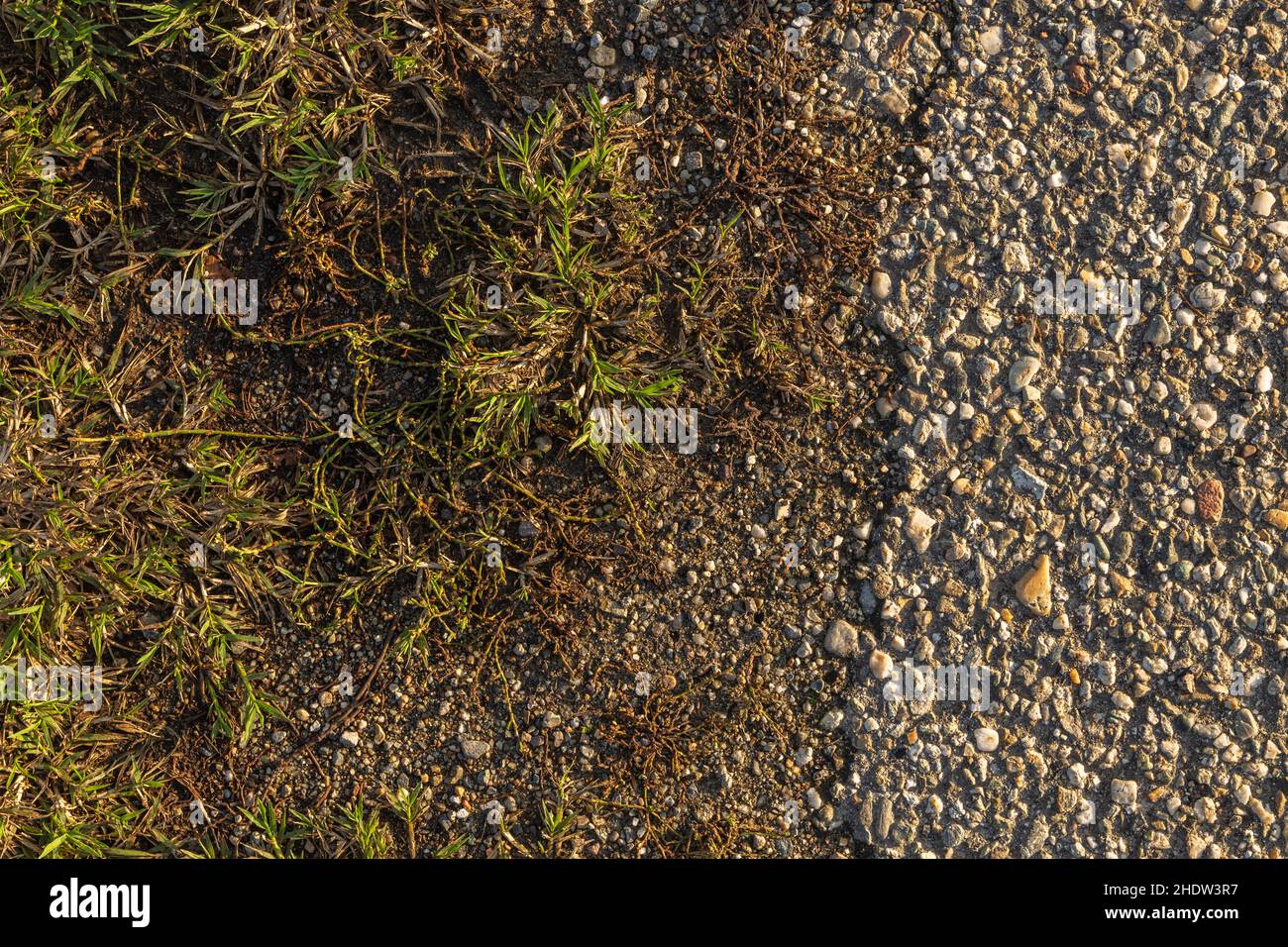 perpendicular view of the roadside, rural country road with natural ...
