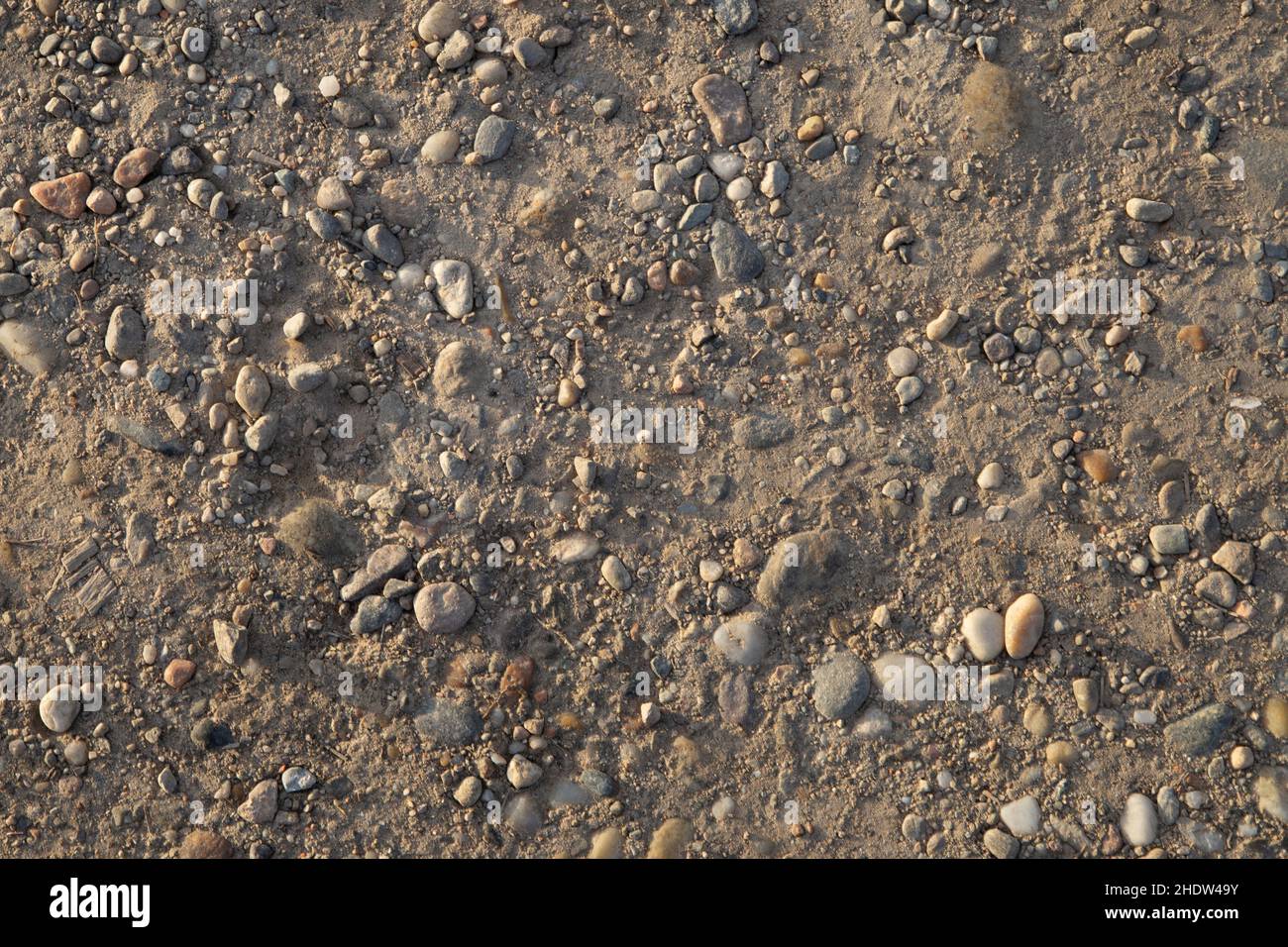 compact ground composed of sand and stones, sunset light, perpendicular ...