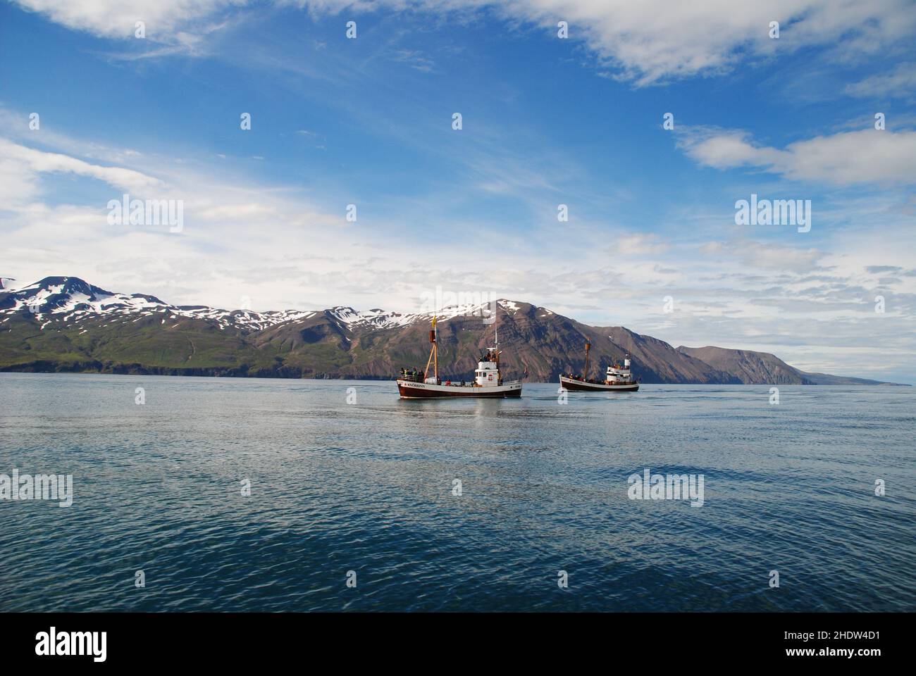 ship, iceland, fjord, atlantic ocean, ships, icelands, fjords, atlantic ...