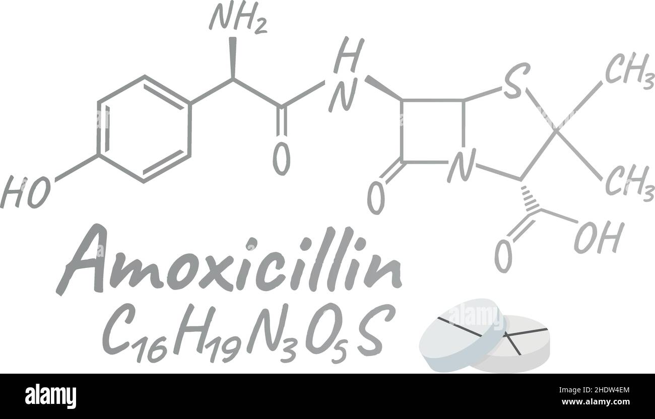 Amoxicillin antibiotic chemical formula and composition, concept ...