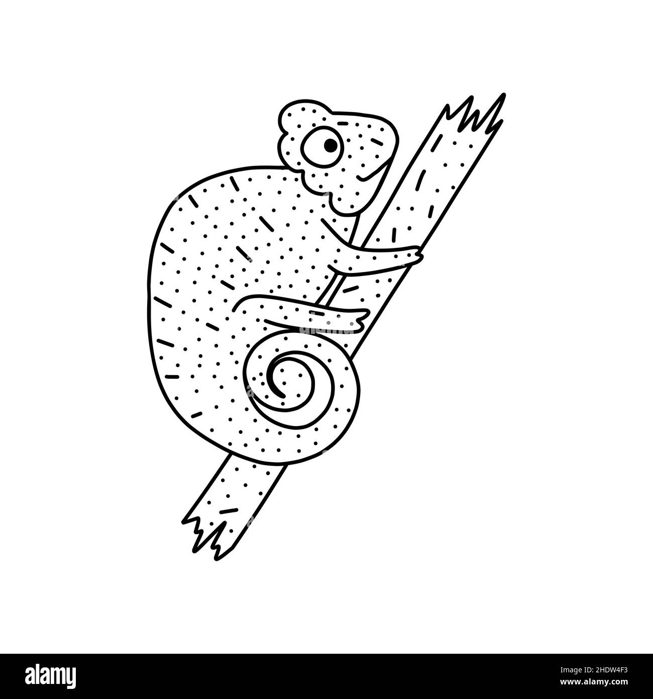 Hand drawn chameleon icon in doodle style. Cartoon chameleon vector ...