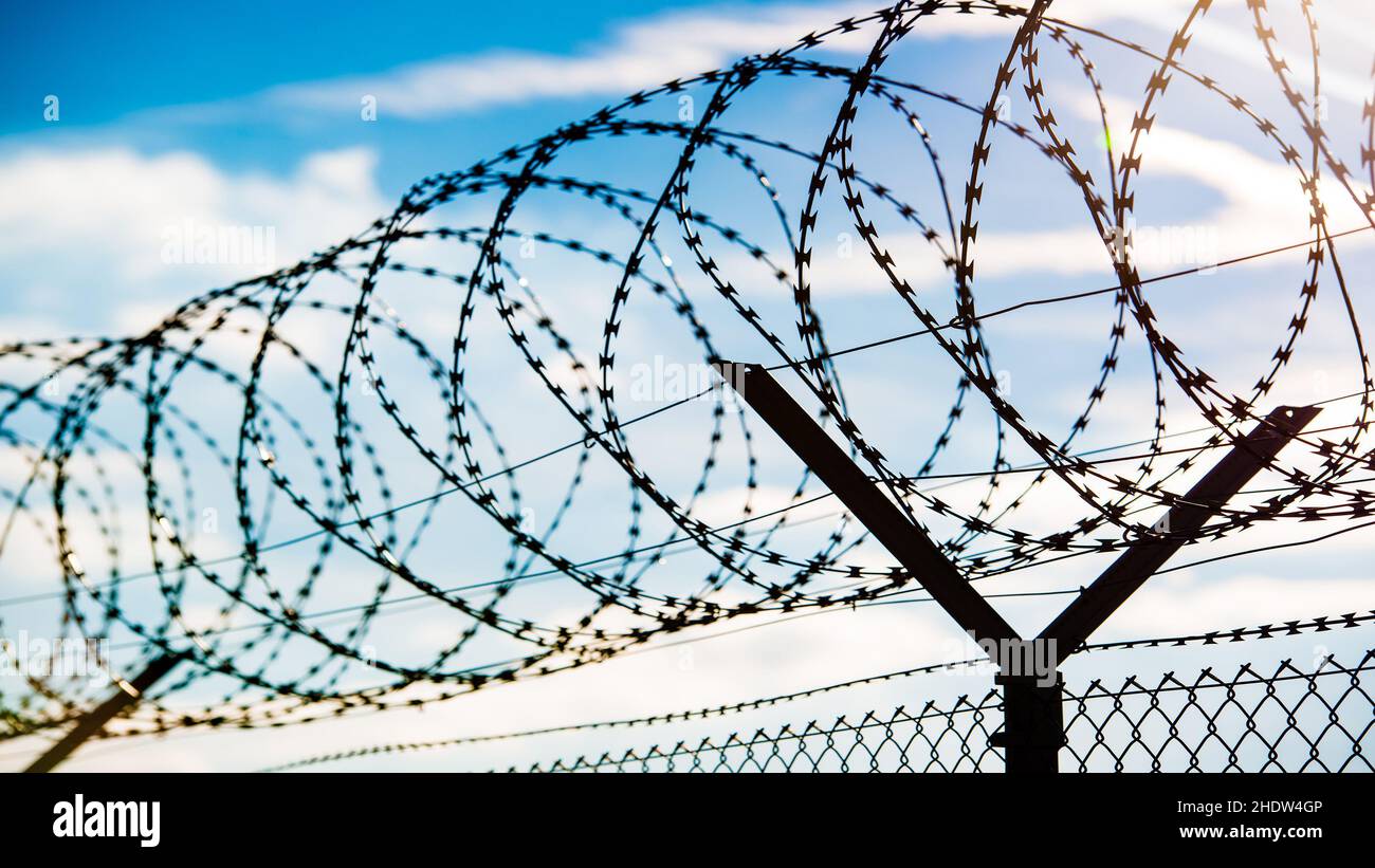 caught, razor wire, border fence, caughts, razor wires, border fences ...
