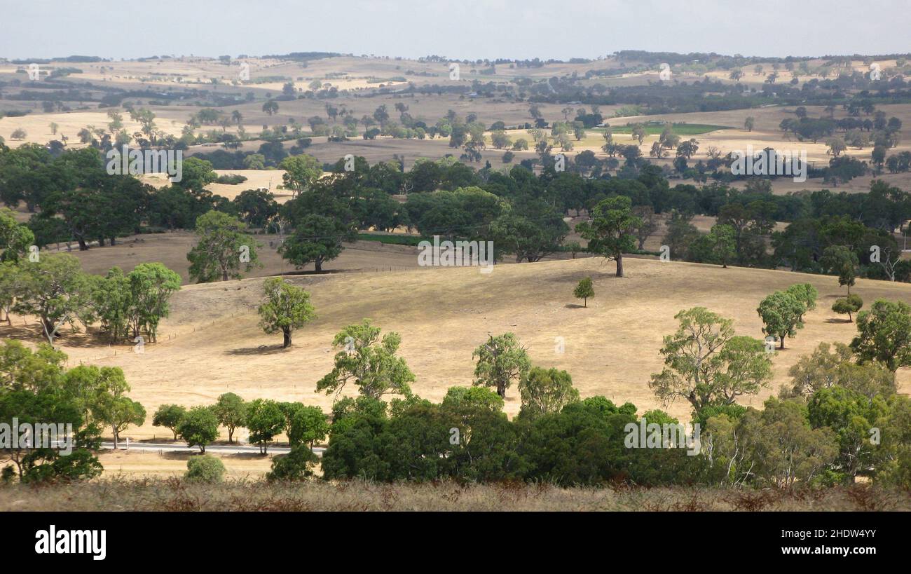 landscape, victoria, landscapes, rural, rural scene, scene, scenery ...