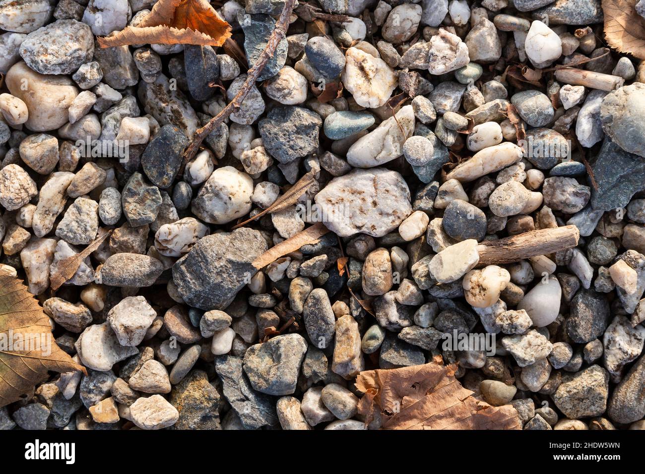 compact soil composed of medium-fine gravel with dry leaves, sunset ...