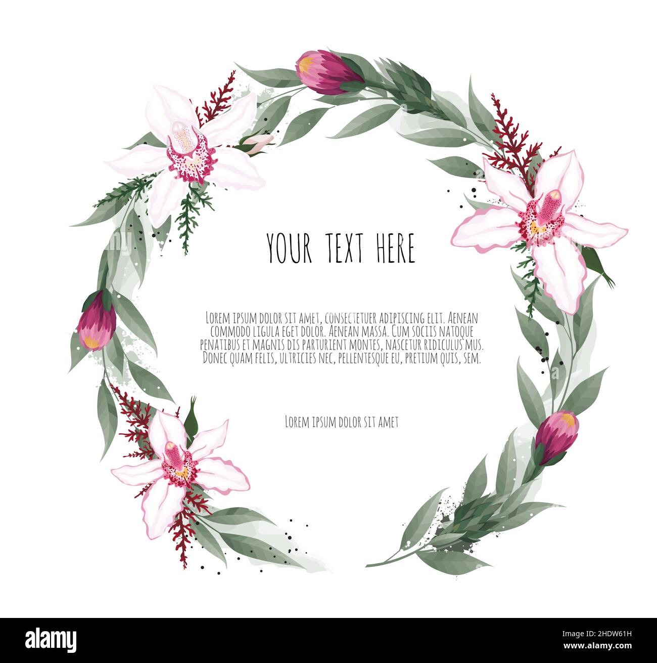 Orchid eucalyptus Stock Vector Images - Alamy