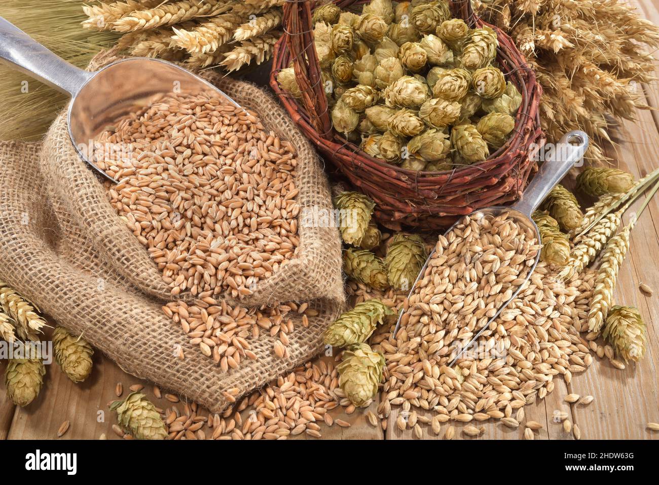 hop, grains, ingredient, hops, grain, ingredients Stock Photo - Alamy