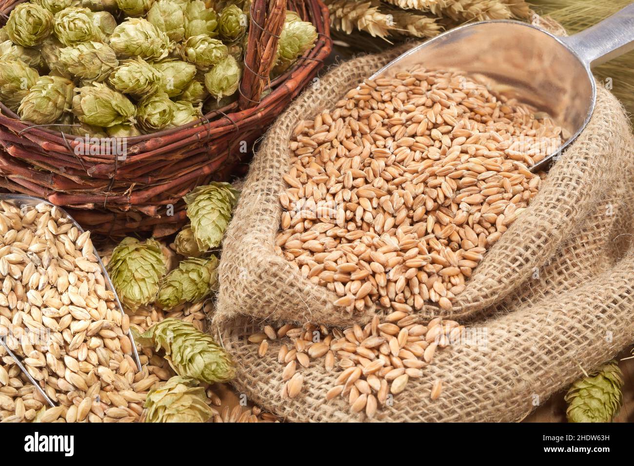 grain, hop, grains, hops Stock Photo - Alamy
