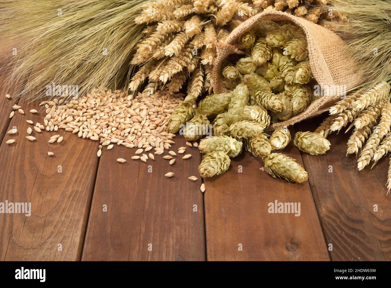 grain, spices & ingredients, hop, brewing, grains, spices and ...