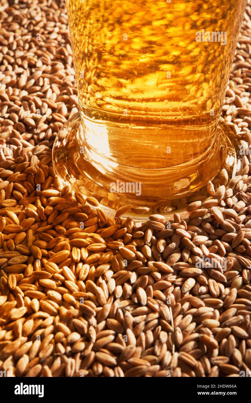 beverage, beer, beverages, drink, beers Stock Photo - Alamy