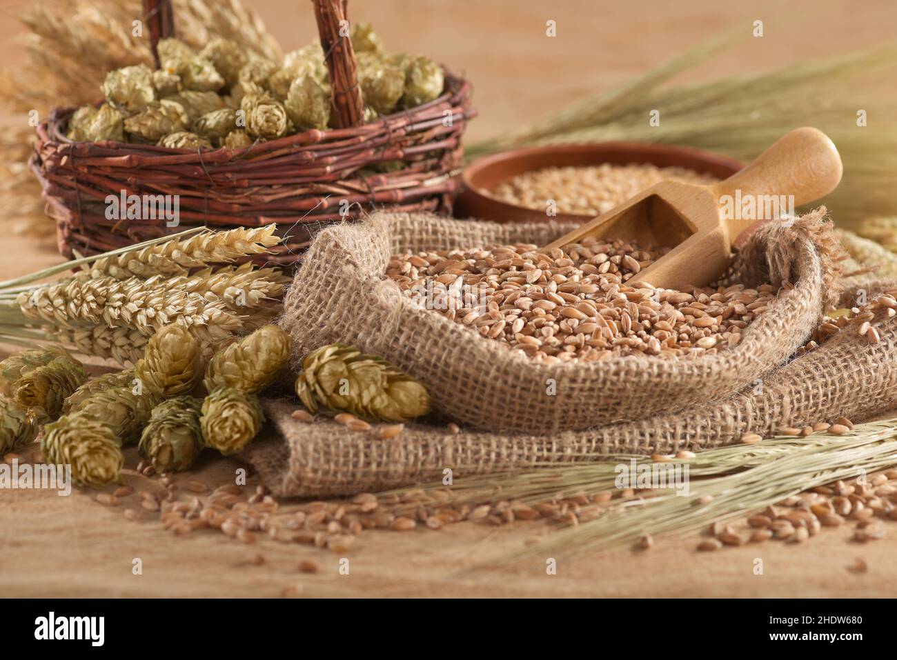 grain, barley, hop, malt, grains, barleys, hops, malts Stock Photo - Alamy