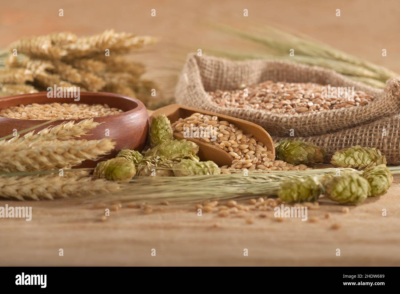 grain, wheat, barley, hop, grains, wheats, barleys, hops Stock Photo ...
