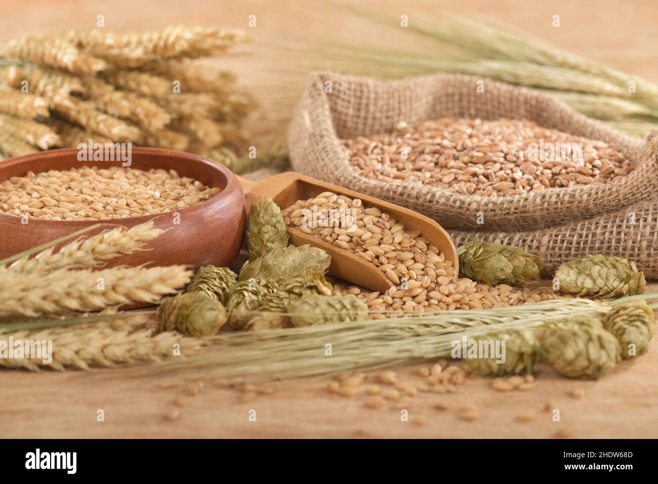 grain, wheat, hop, ingredient, grains, wheats, hops, ingredients Stock ...