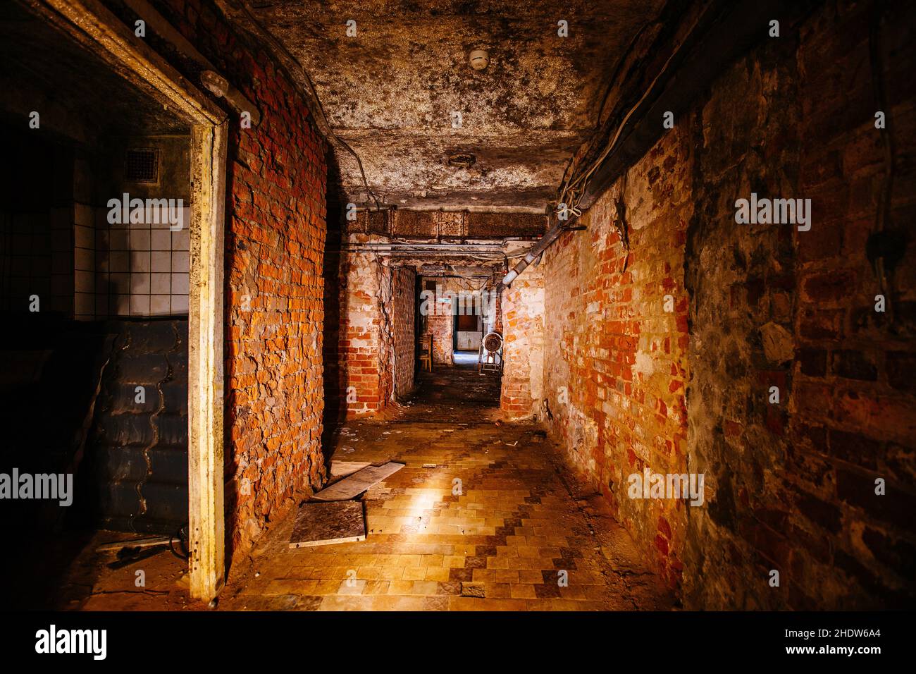 Dark dirty abandoned basement under old house Stock Photo - Alamy