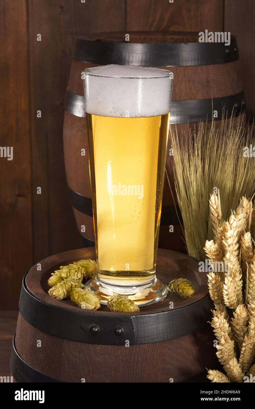 beer, lager, beers Stock Photo - Alamy