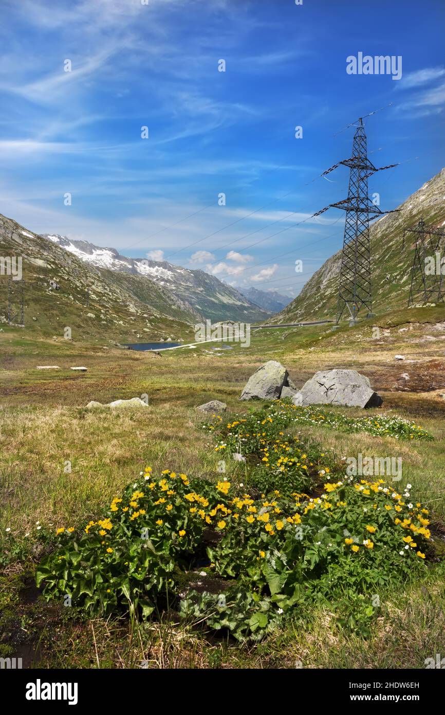 switzerland, uri, gotthard pass, switzerlands, uris Stock Photo - Alamy