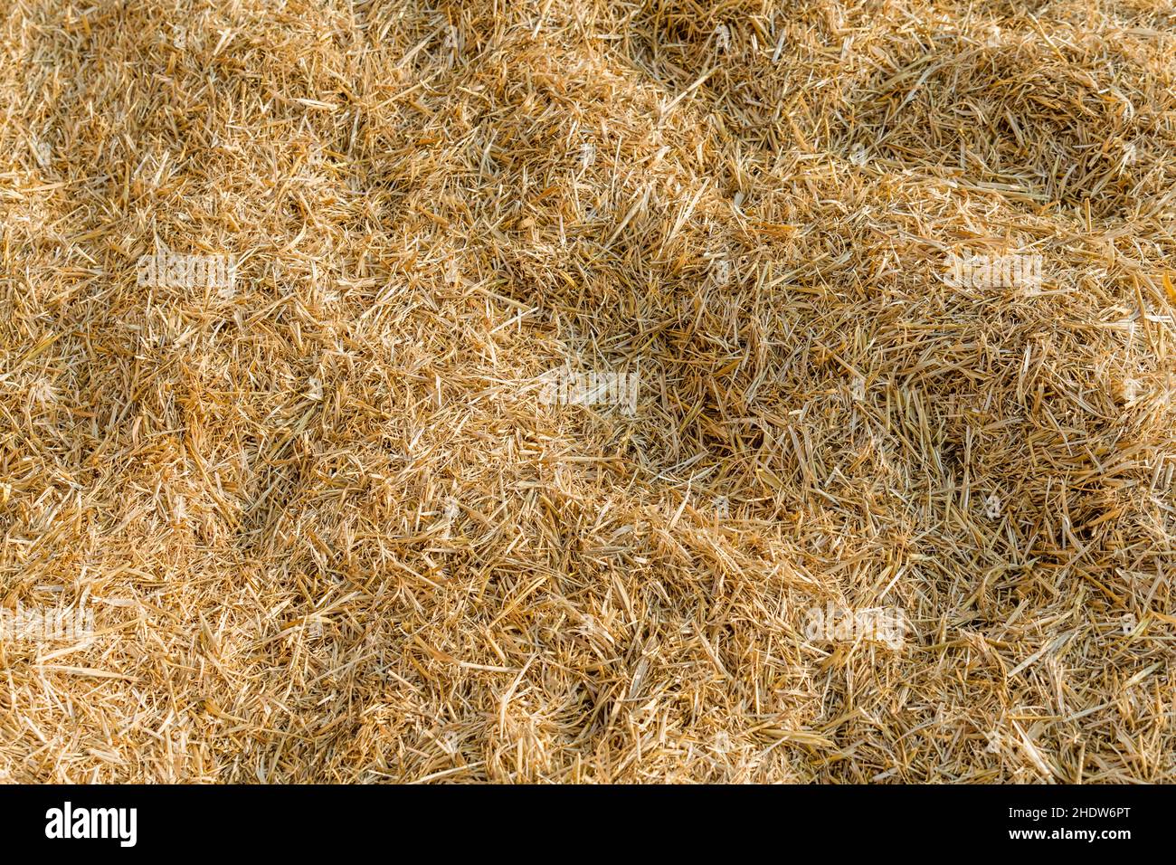 backgrounds, straw, hay, background, straws, hays Stock Photo - Alamy