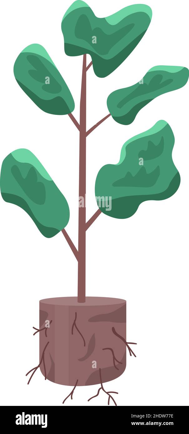 Simple potted plant animation in hi-res stock photography and images ...