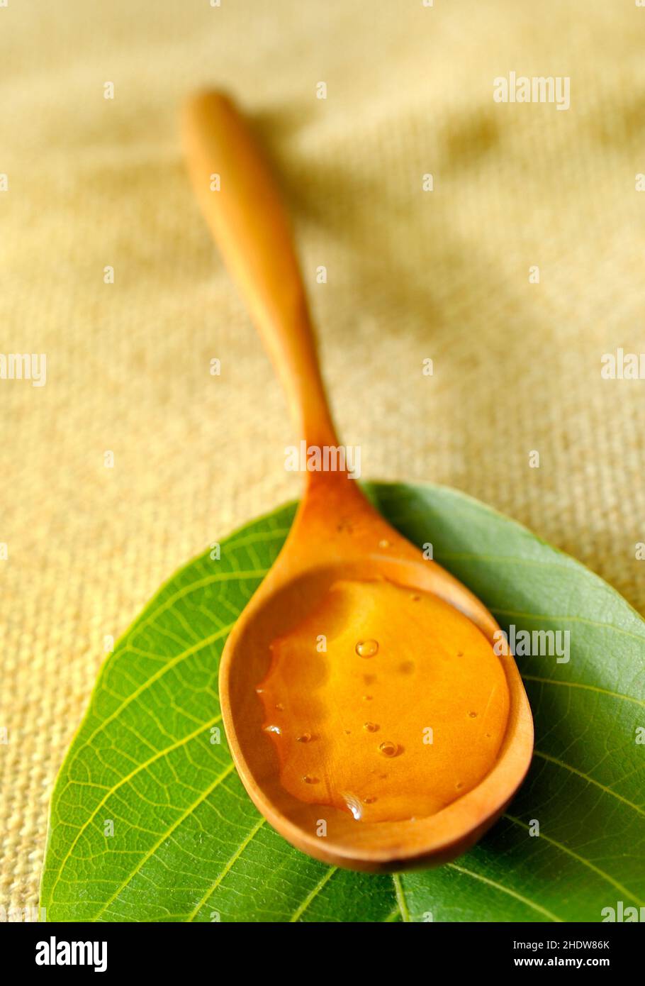 spoon, acacia honey, spoons, acacia honeys Stock Photo - Alamy