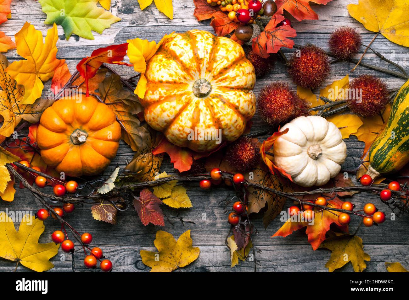 Fall scenes pumpkins hi-res stock photography and images - Alamy