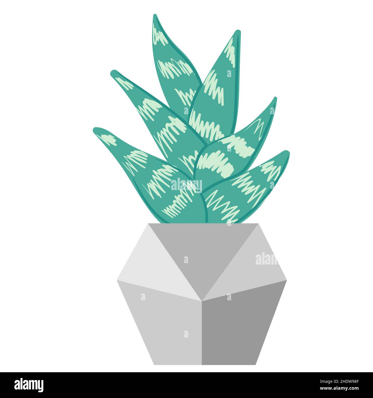 Potted Plants Collection Houseplants Hand Drawn Vector Illustration