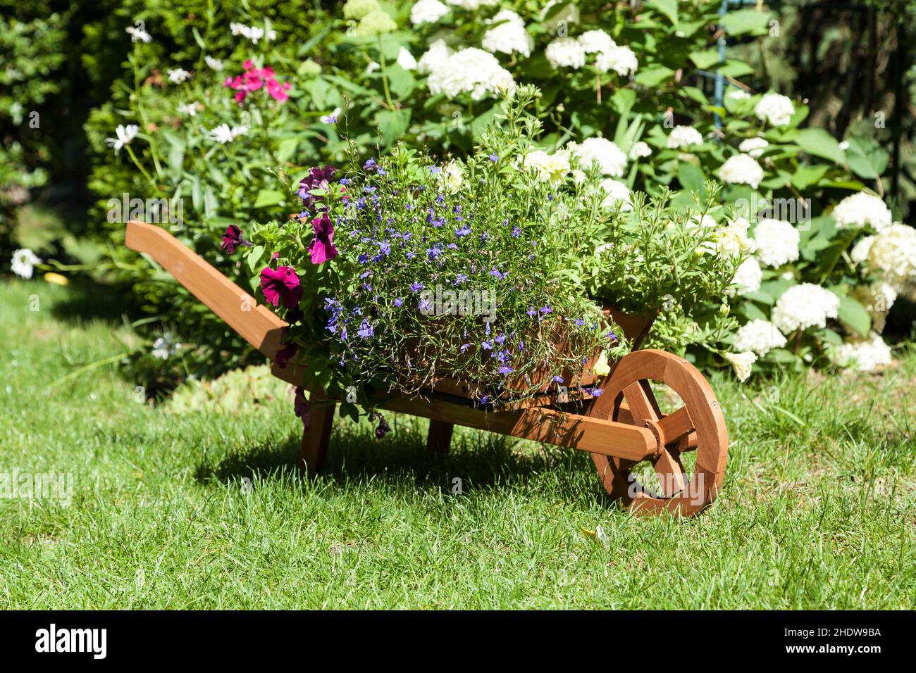 flower, wheelbarrow, garden decoration, wooden carts, flowers ...
