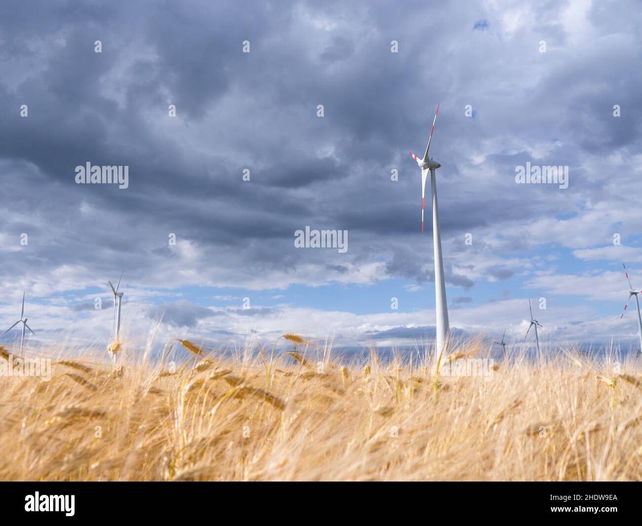 wind power, wheat field, global warming, wind powers, wheat fields ...