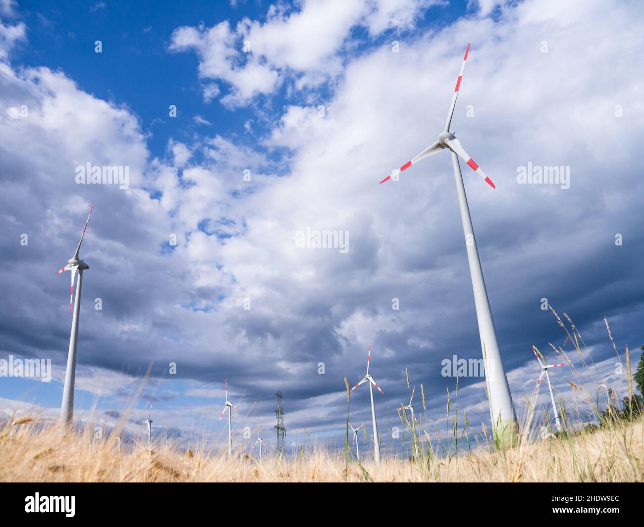 field, pinwheel, fields, pinwheels Stock Photo - Alamy
