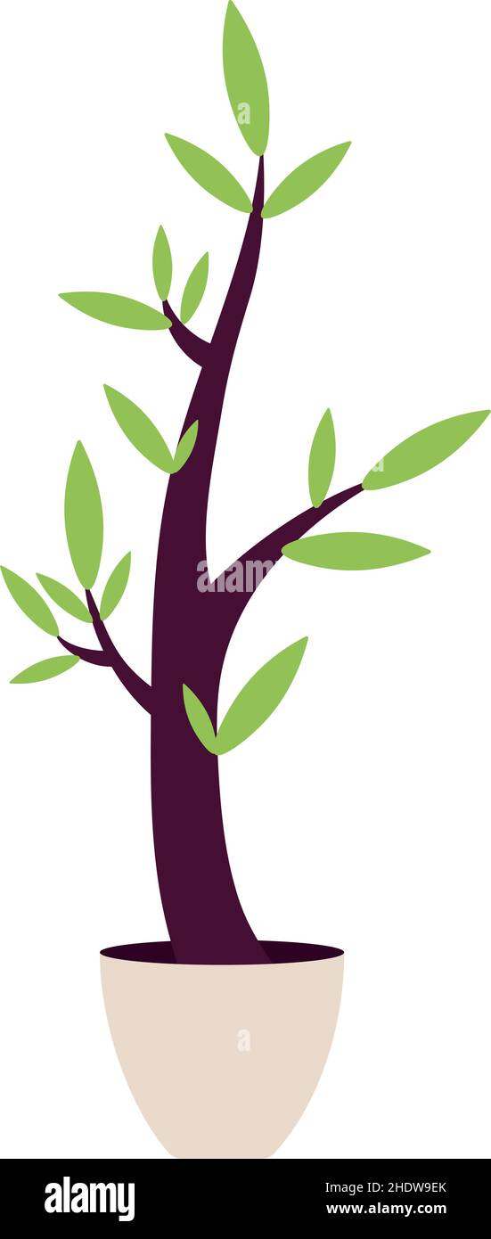 Simple potted plant animation in hi-res stock photography and images ...